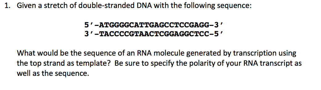 Solved 1. Given a stretch of double-stranded DNA with the | Chegg.com