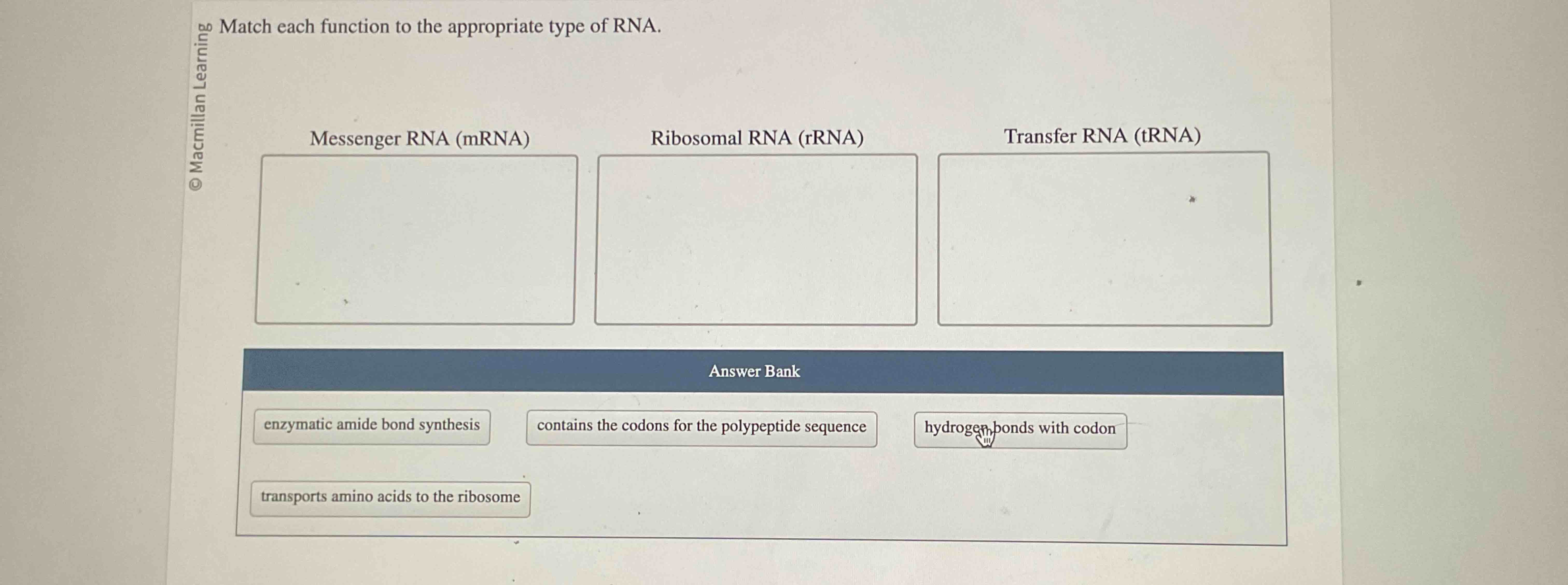 Solved Messenger RNA (mRNA)Ribosomal RNA (rRNA)Transfer RNA | Chegg.com