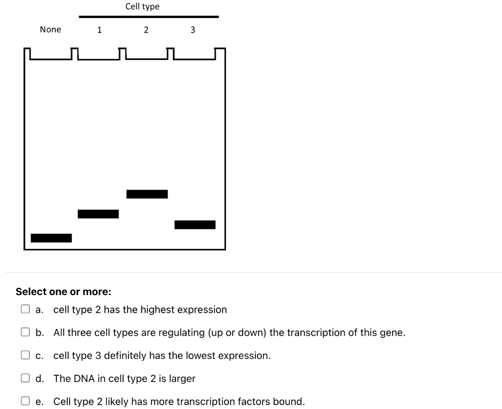 Solved The proteins from three cell types from the same | Chegg.com
