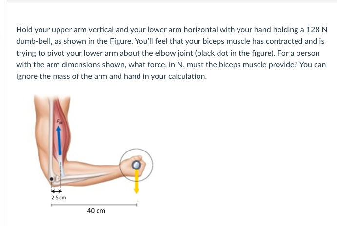 Solved Hold your upper arm vertical and your lower arm | Chegg.com