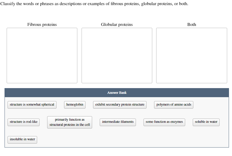 Solved Classify the words or phrases as descriptions or | Chegg.com