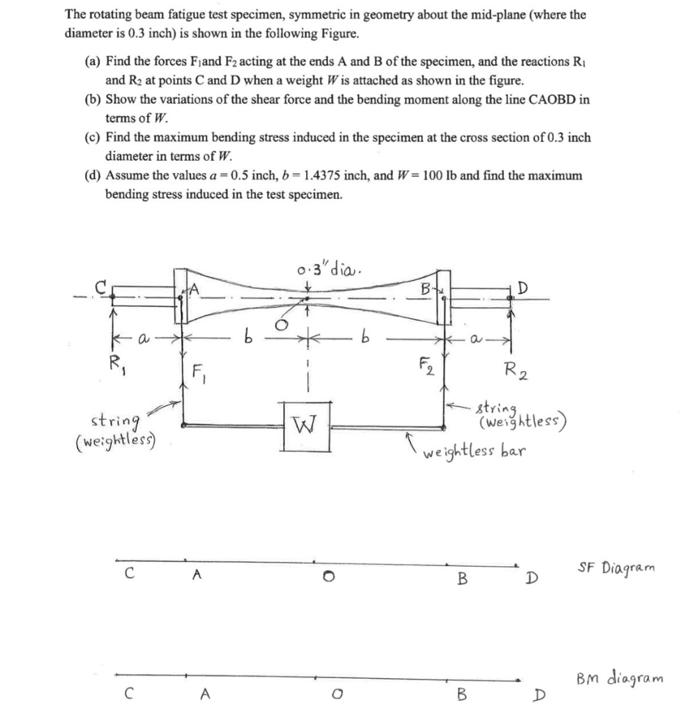 Solved The rotating beam fatigue test specimen, symmetric in | Chegg.com