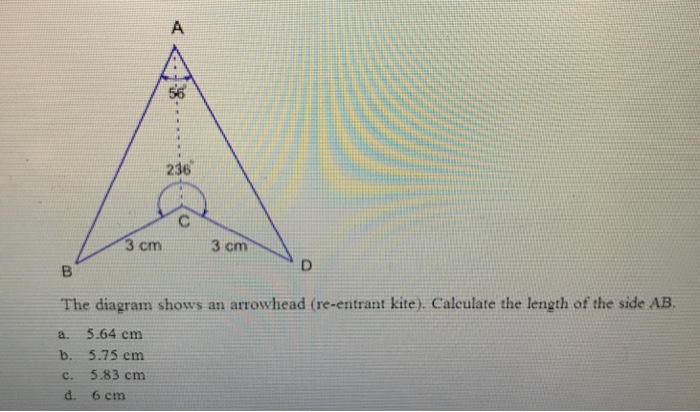 Solved 56 236 3 cm 3 cm The diagram shows an arrowhead | Chegg.com