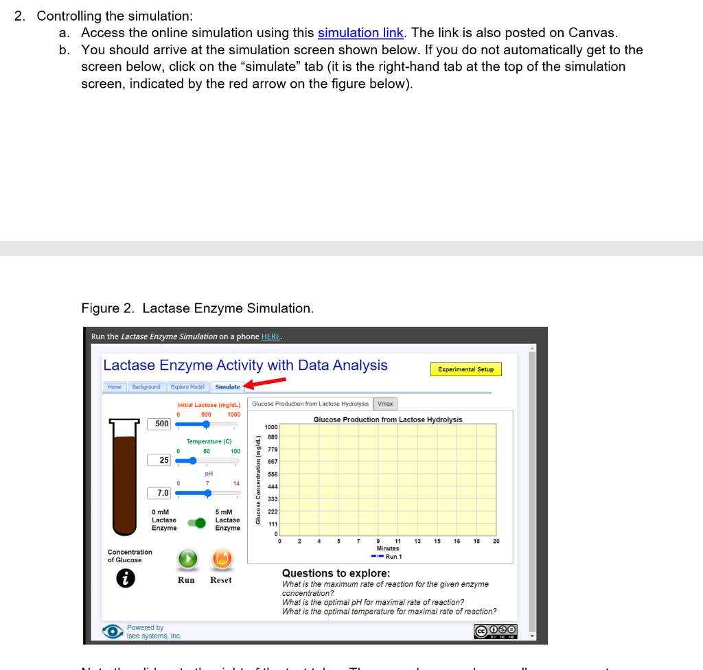 Solved enzyme have on the rate of the reaction? 5. | Chegg.com