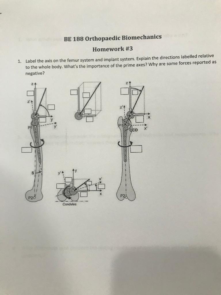 Solved BE 188 Orthopaedic Biomechanics Homework #3 1. Label | Chegg.com