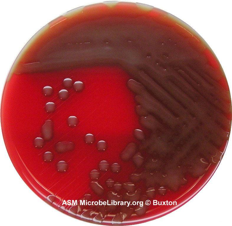 Solved Unknown Identification Exercise 1. Describe | Chegg.com