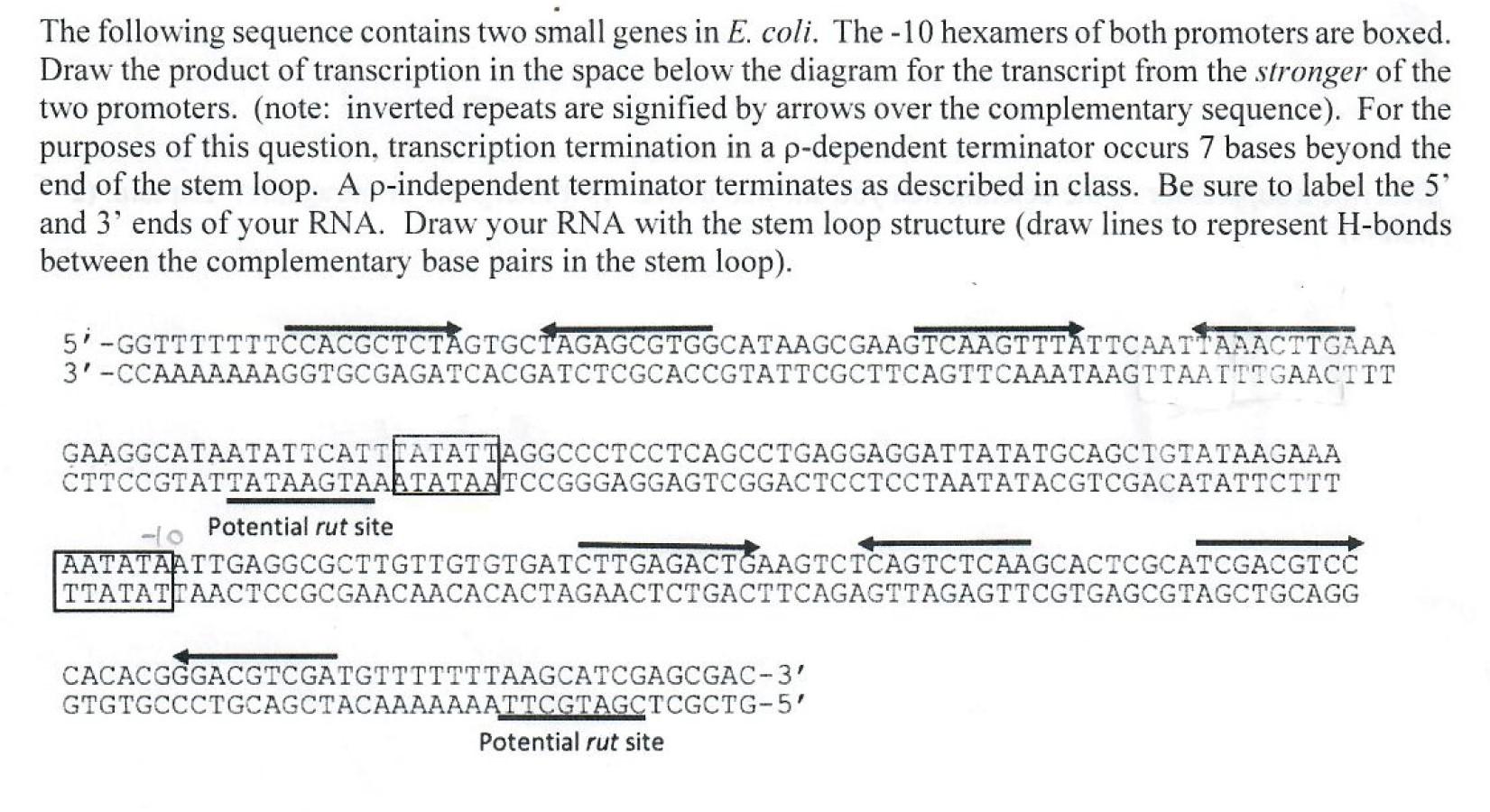 Solved The following sequence contains two small genes in E. | Chegg.com