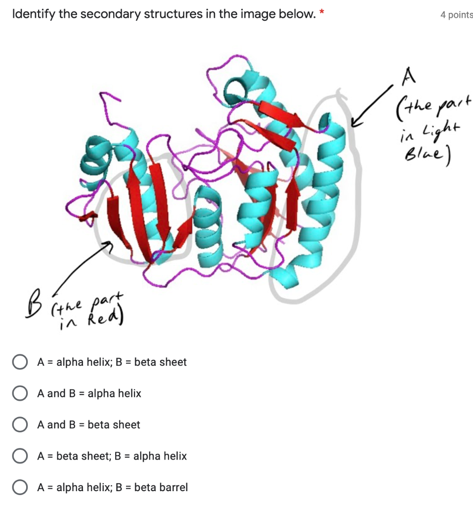 Solved The image below shows 5 subunits of a protein coming | Chegg.com
