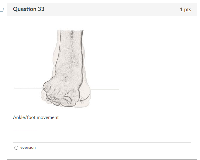 Solved Complete the following Lab Activity on Movement | Chegg.com