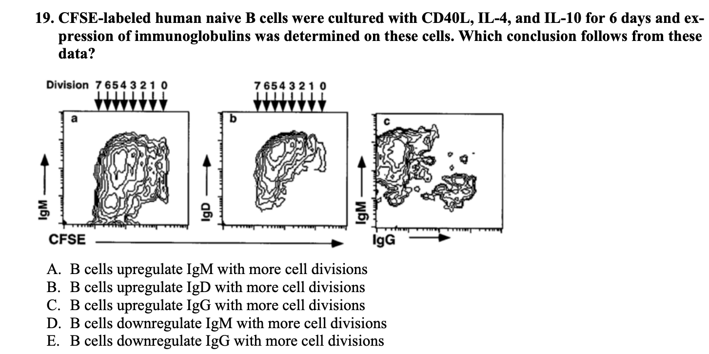 Solved 19. CFSE-labeled human naive B cells were cultured | Chegg.com