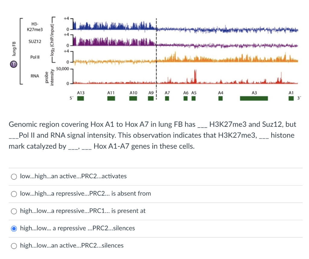 Solved Hз. K27me3 SUZ12 0 +4 e lung FB intensity log2 | Chegg.com