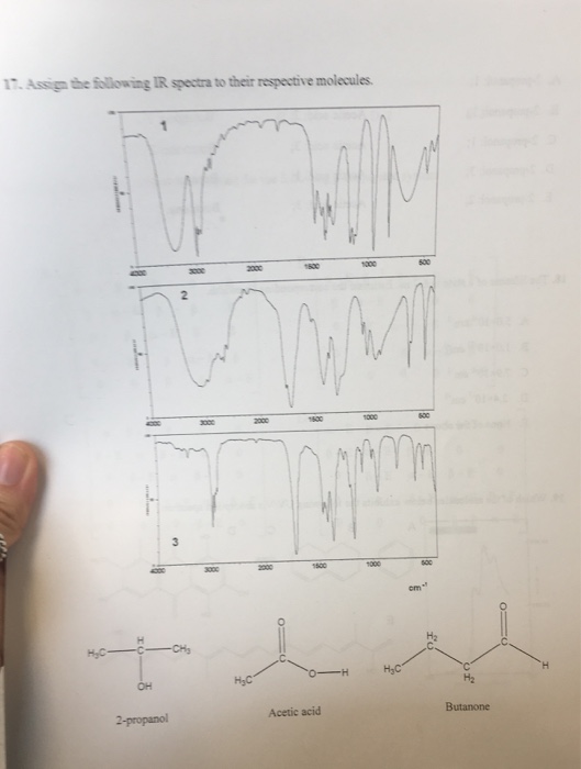 Solved IT. Assign te following IR spectra to their | Chegg.com