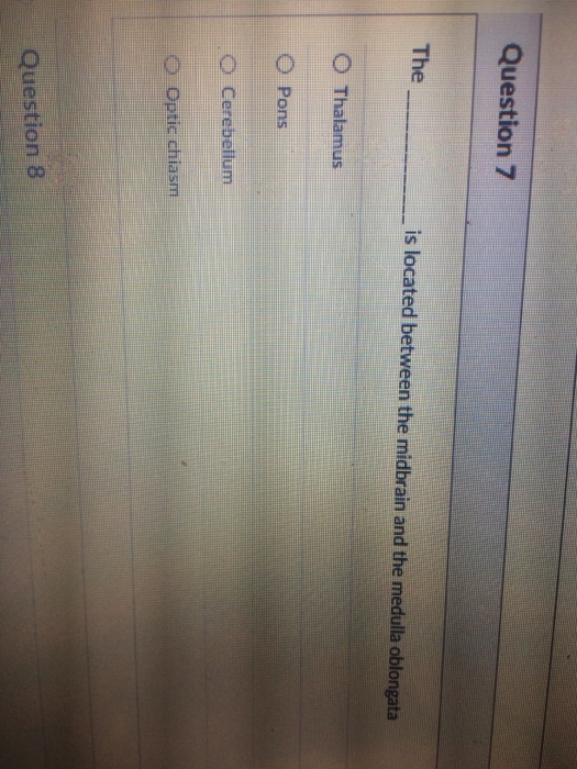 Solved Nervous system questions | Chegg.com