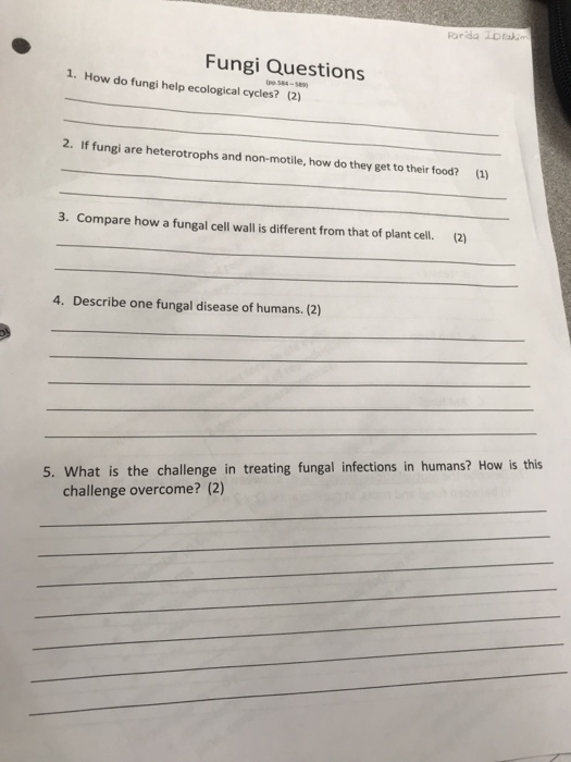 Solved Fungi Questions 1. How do fungi help ecological | Chegg.com
