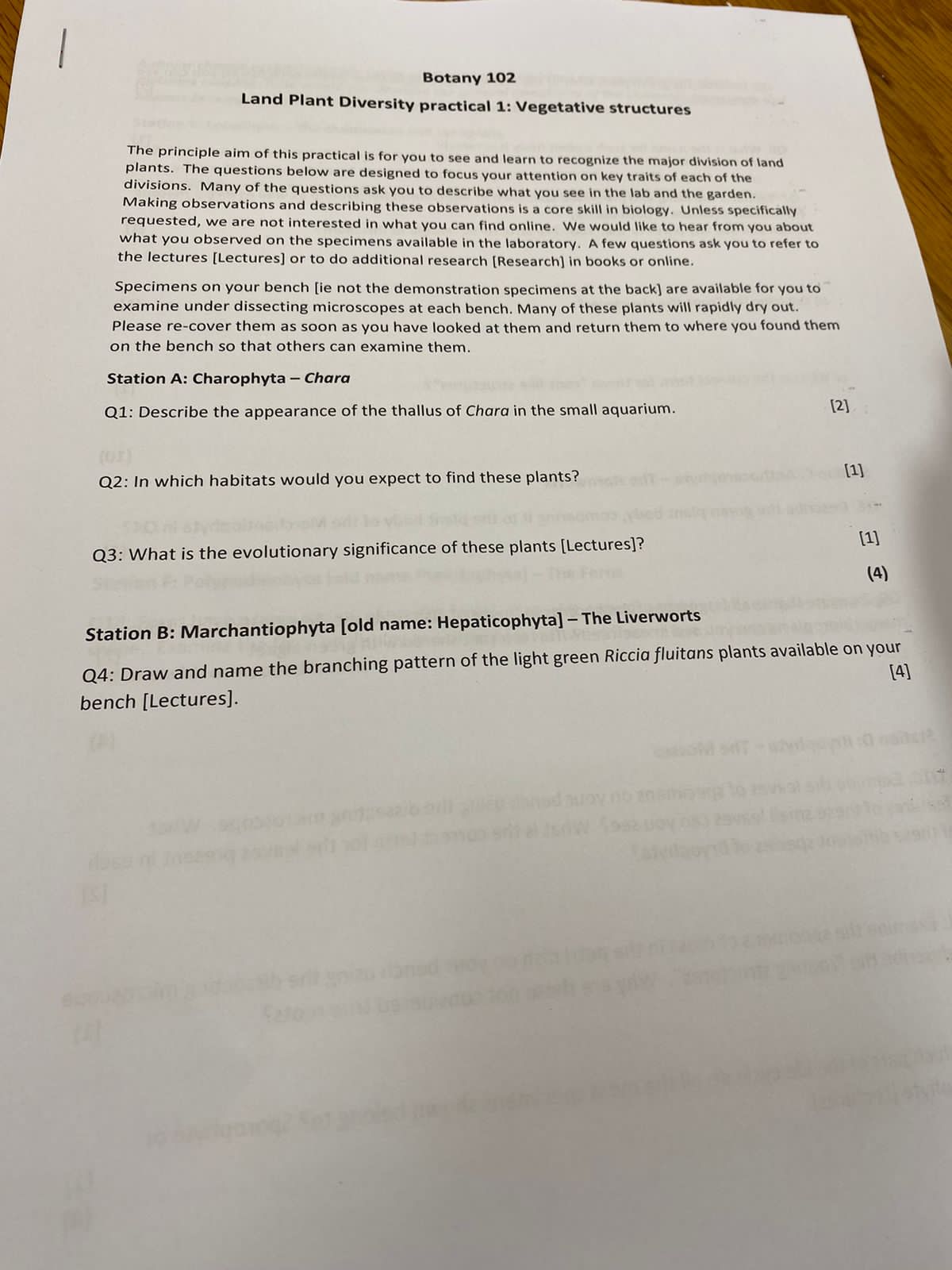 Solved Land Plant Diversity practical 1: Vegetative | Chegg.com