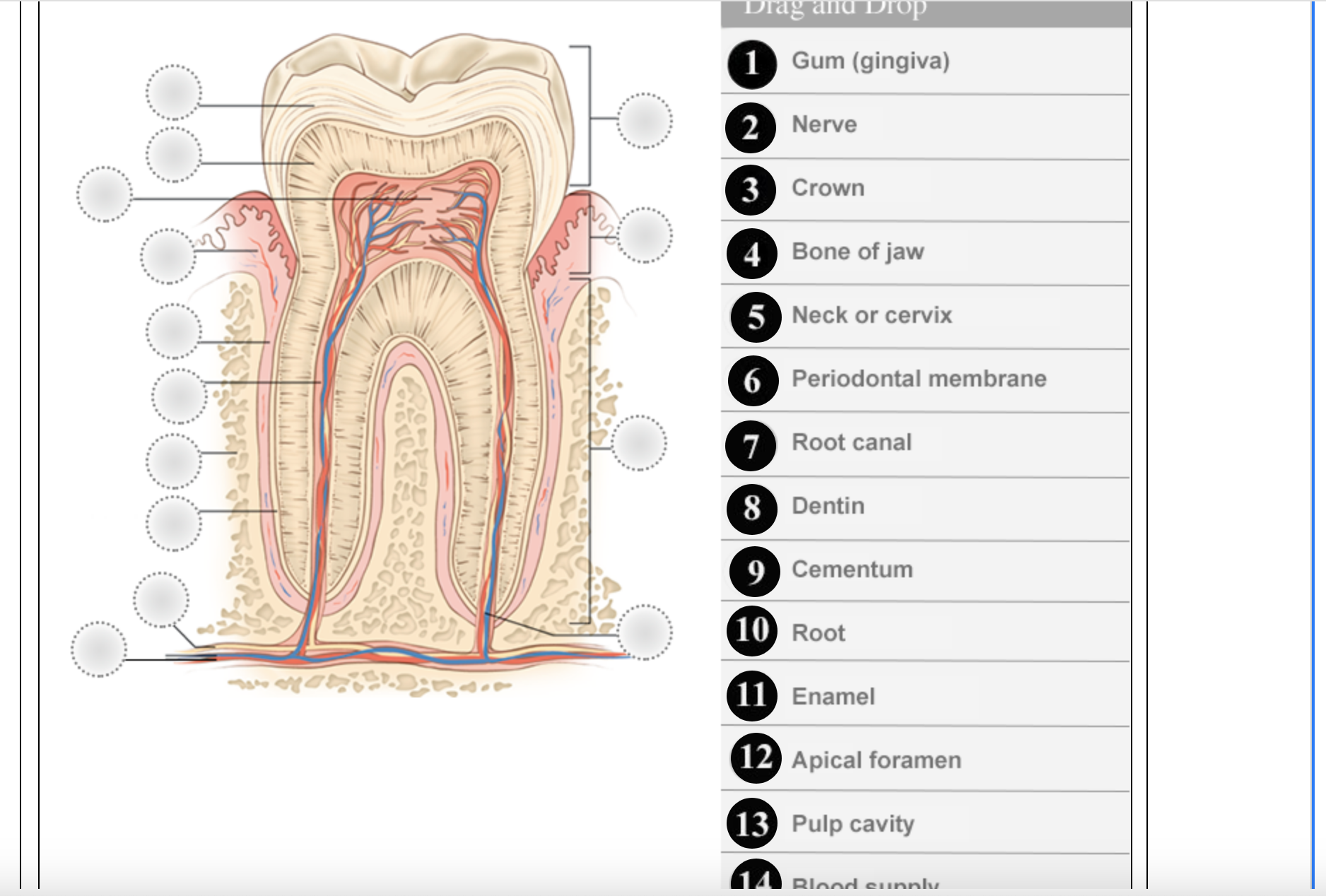 Solved from right to botton1234from left to top to | Chegg.com