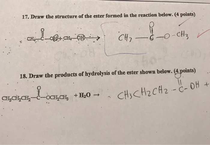 Solved 17. Draw the structure of the ester formed in the | Chegg.com