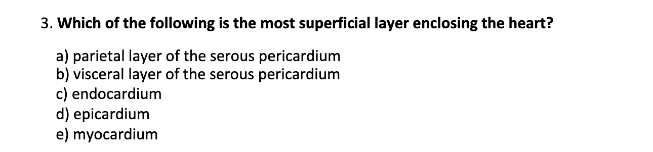 Solved 3. Which of the following is the most superficial | Chegg.com