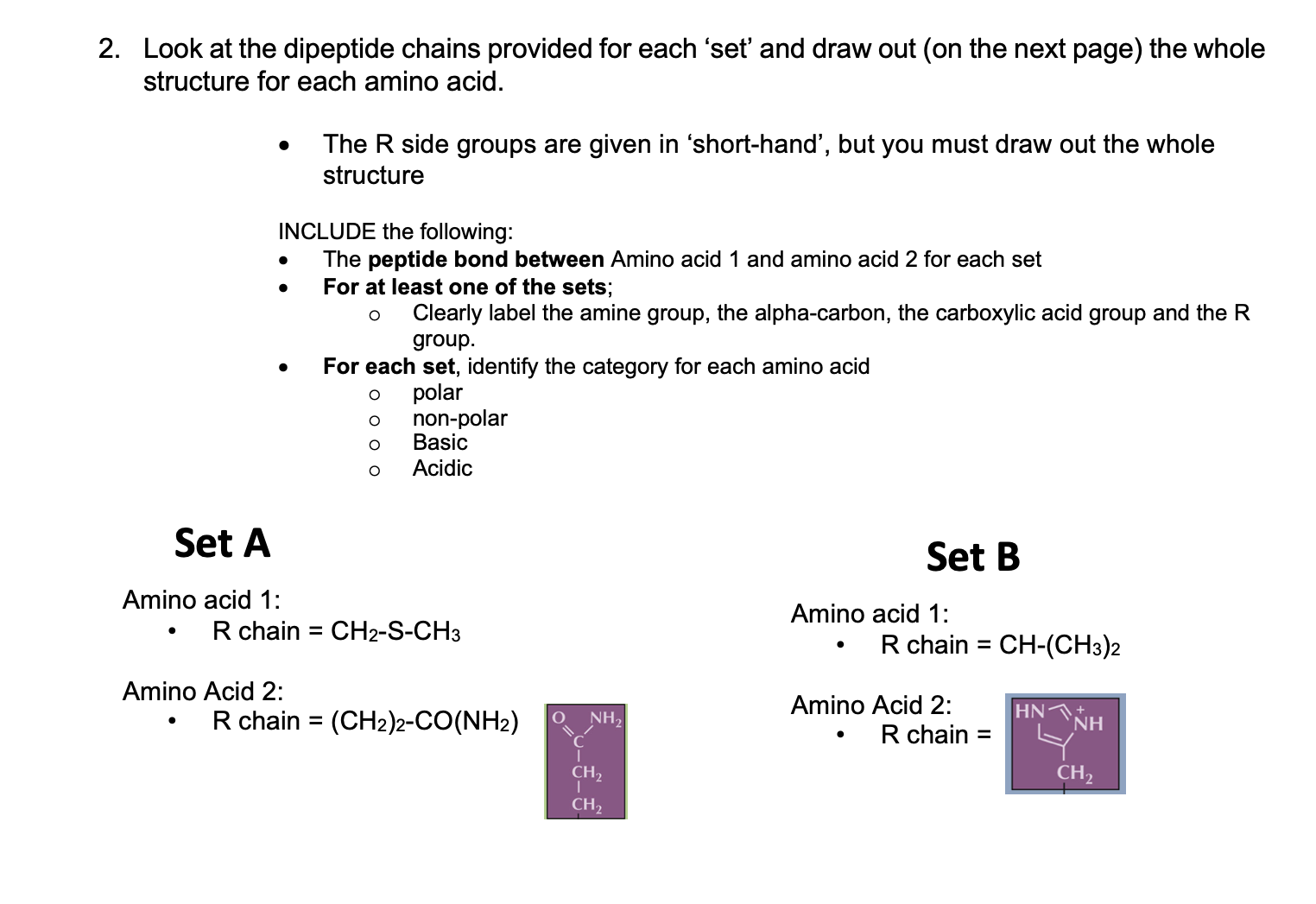 Solved Look at the dipeptide chains provided for each 'set' | Chegg.com