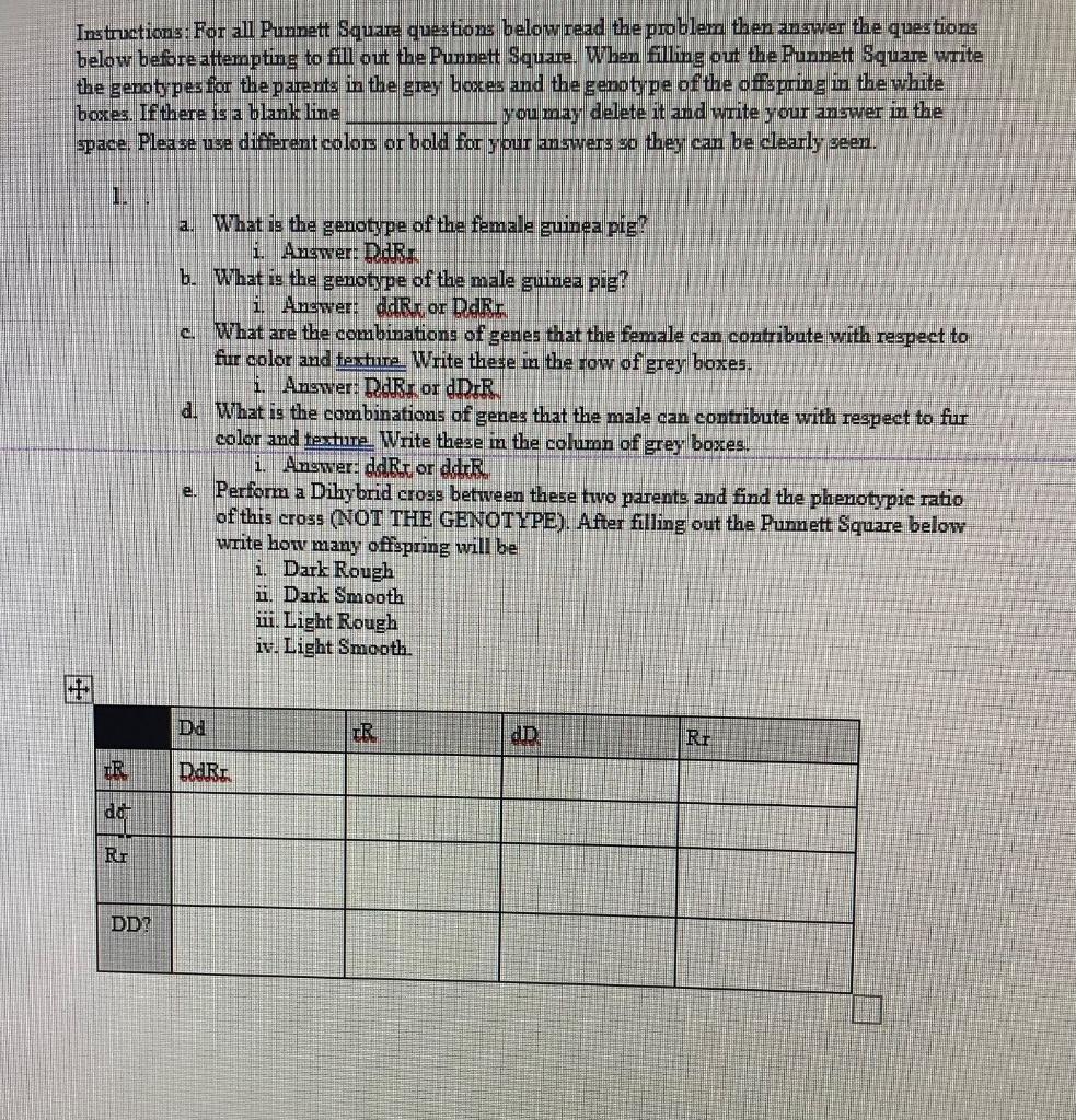 Solved Instructions: For all Punnett Square questions below | Chegg.com