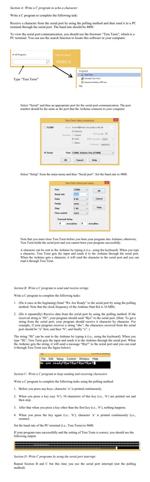 Section A: Write a program to echo a character Write | Chegg.com
