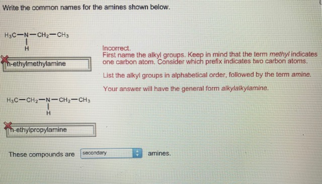 Write The Common Names For These Amines