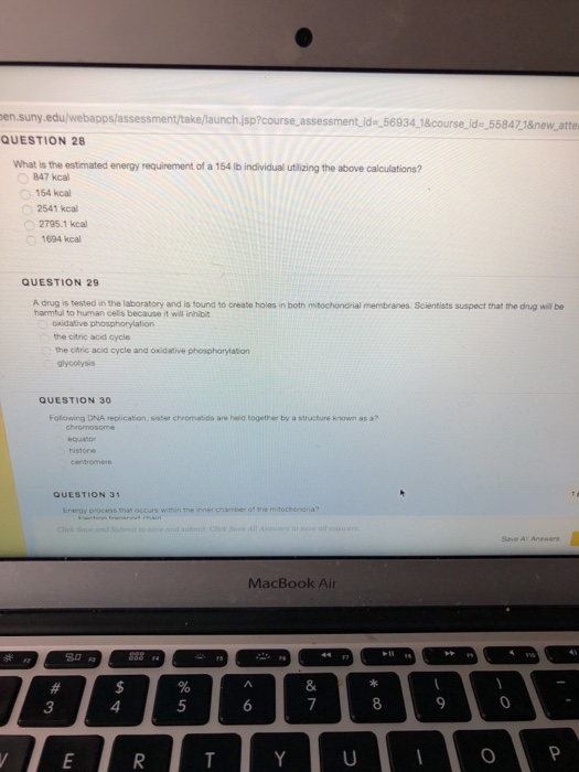 Solved en.suny.edu/webapps/assessment/take/launch,jsp?course | Chegg.com