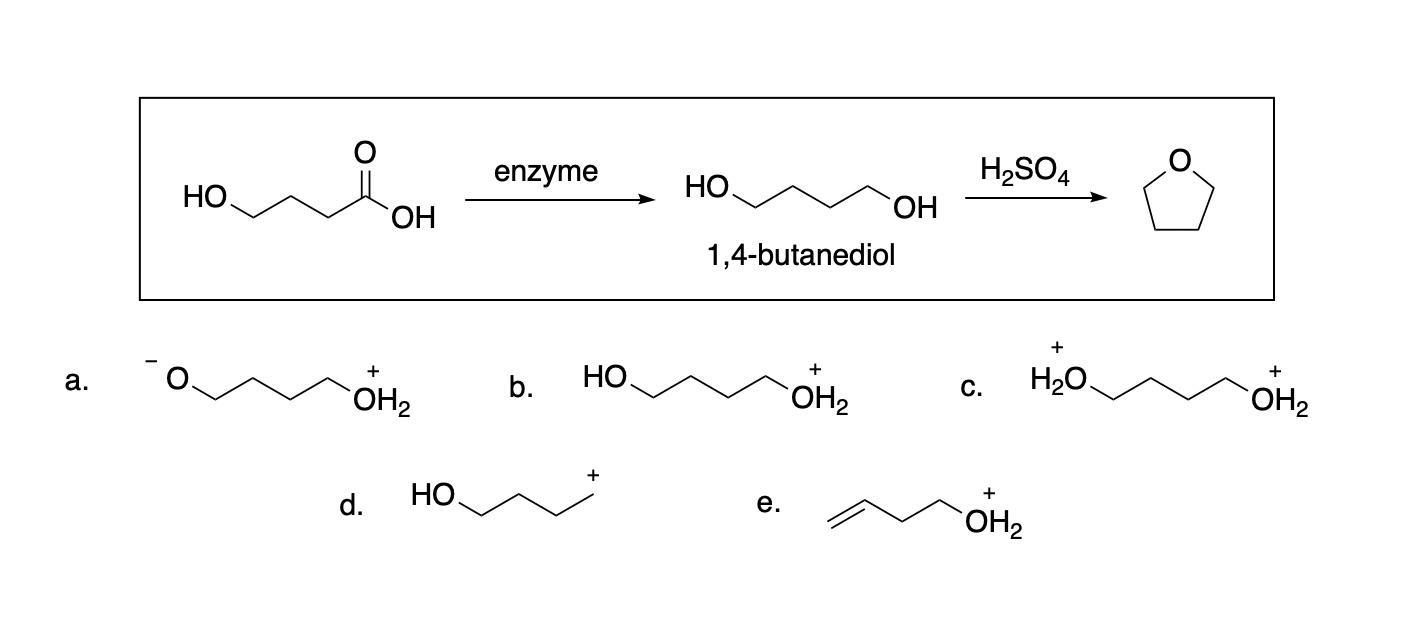 Solved A biorenewable route to 1,4-butanediol has | Chegg.com