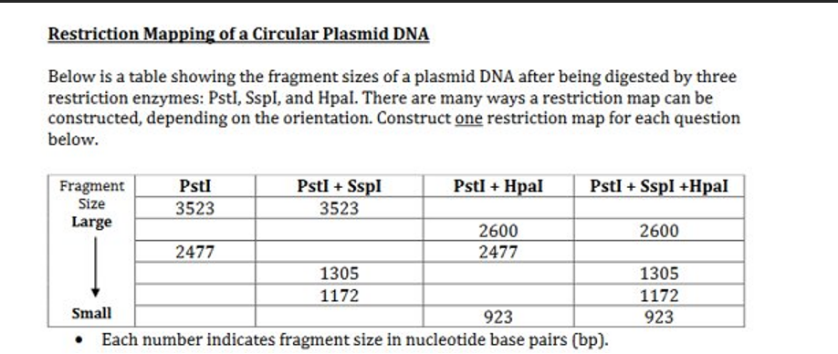 Solved Restriction Mapping of a Circular Plasmid DNA Below | Chegg.com