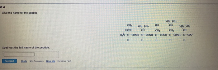 Solved Give the name for the peptide. Spell out the full | Chegg.com