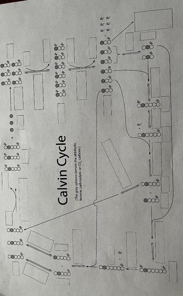 Solved Please fill in blanks | Chegg.com