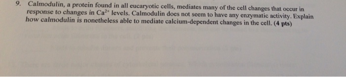 Solved Calmodulin, a protein found in all eucaryotic cells, | Chegg.com