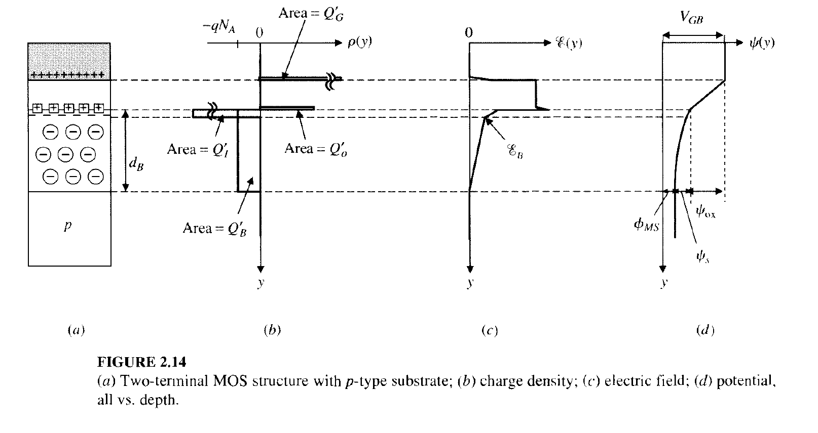 Solved Plots of charge density, electric field, and | Chegg.com