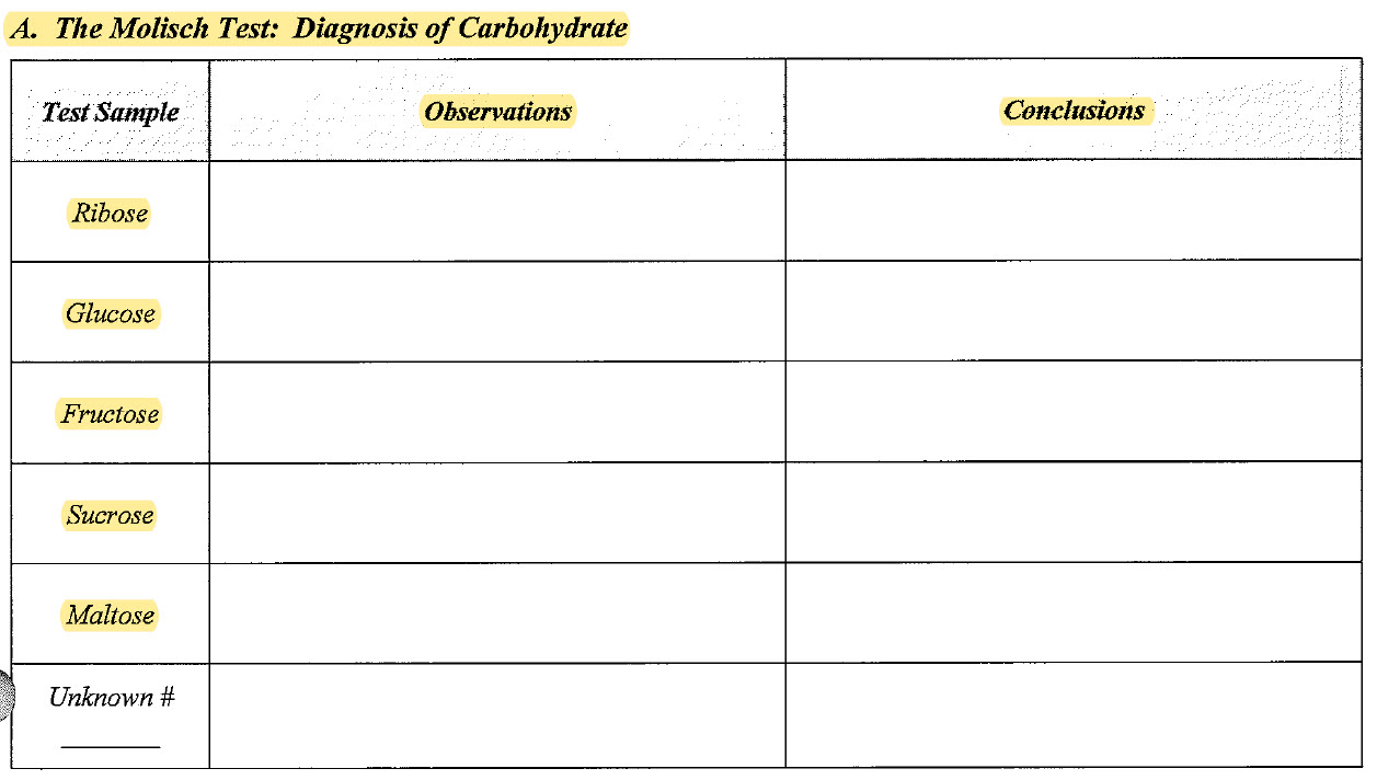 Solved Indicate color observed if any, that would be | Chegg.com