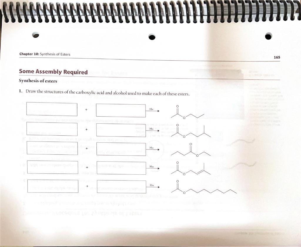 Solved Chapter 10: Synthesis of Esters 165 Some Assembly | Chegg.com