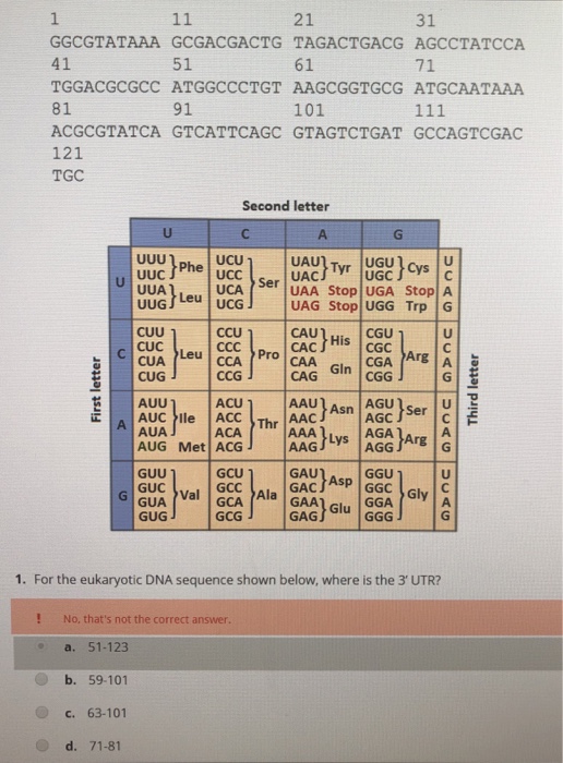 Solved for the eukaryotic DNA sequence shown below, where is | Chegg.com