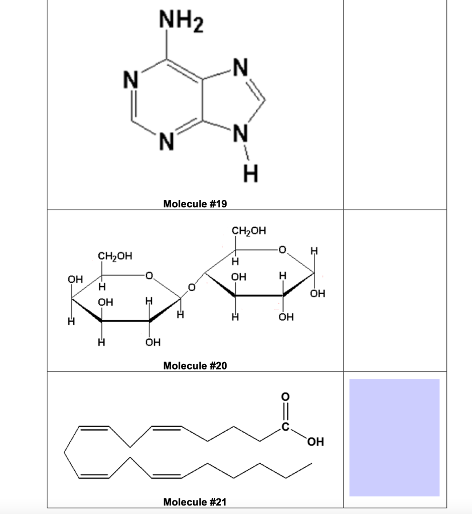 Solved BIOCHEMICAL MOLECULES - STRUCTURE AND FUNCTION ENTER | Chegg.com