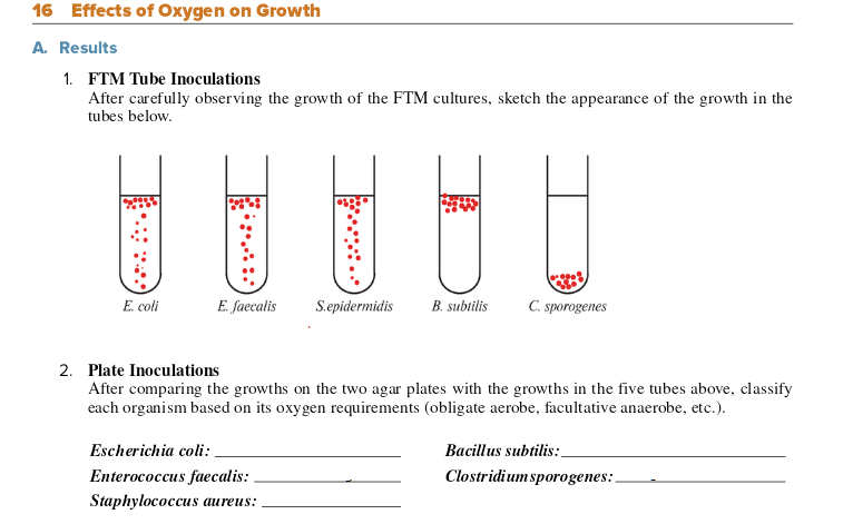 Solved 1. FTM Tube Inoculations After carefully observing | Chegg.com