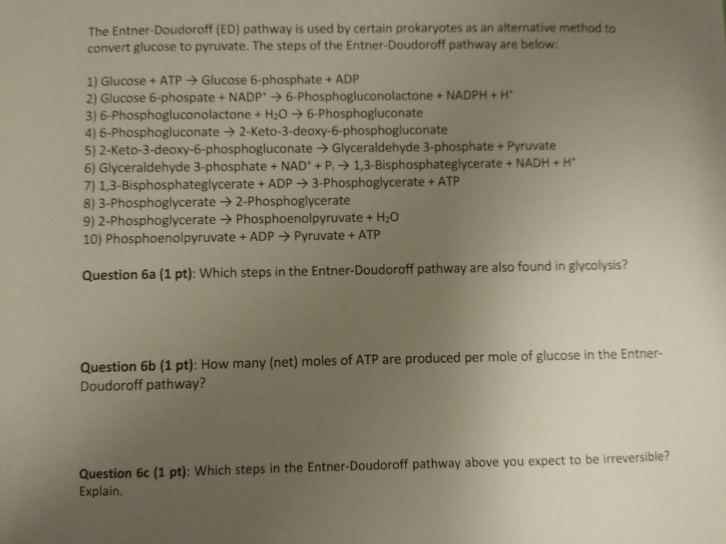 Solved The Entner-Doudoroff (ED) pathway is used by certain | Chegg.com