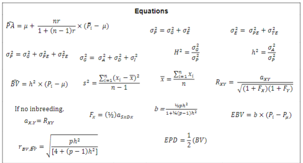 Equations nr PA = u + x (P - A) 1 + (n - 1)r og = 0 + | Chegg.com