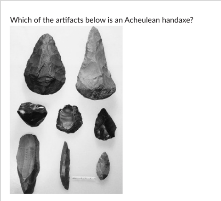 Solved Zhoukoudian is known for both Peking Man, and: | Chegg.com