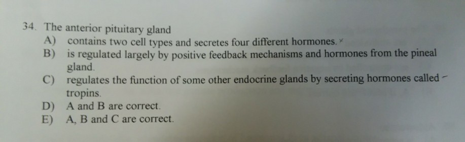 Solved 34. The anterior pituitary gland A) B) C) D) A and B | Chegg.com