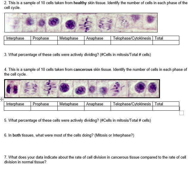 Solved 2. This is a sample of 10 cells taken from healthy | Chegg.com