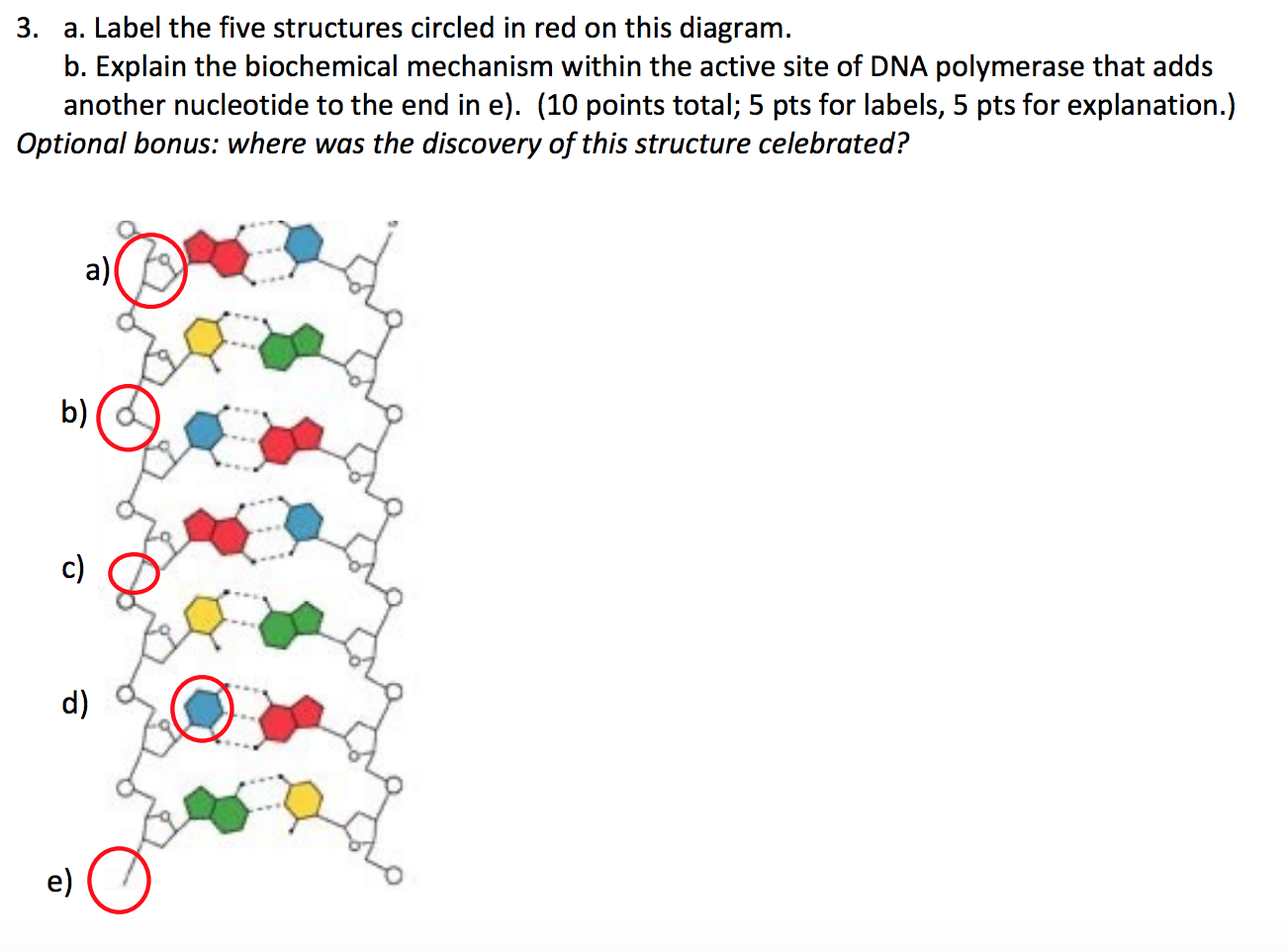 Solved 3. a. Label the five structures circled in red on | Chegg.com