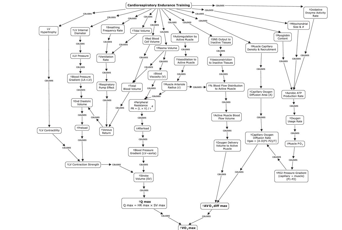 Solved Generate a concept road map, showing the | Chegg.com