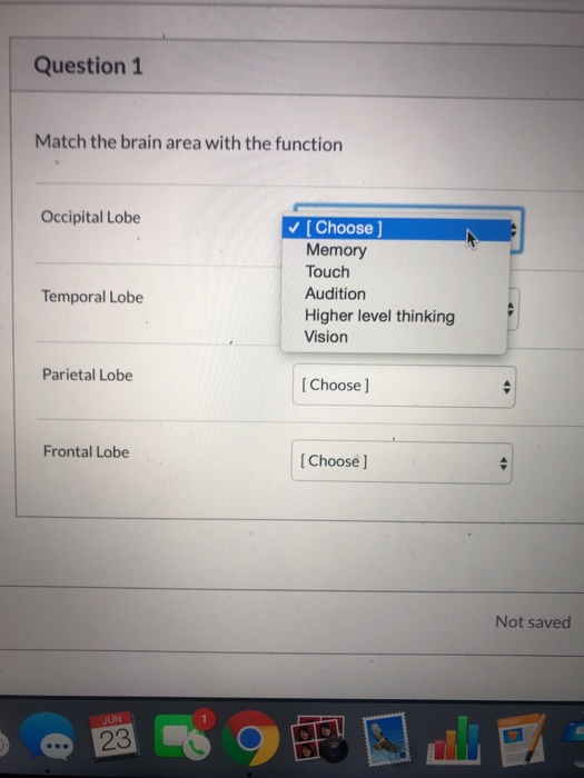 Solved Question 1 1 pts Match the following brain areas and | Chegg.com