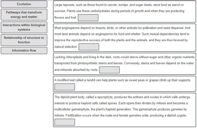 Solved Evolution Pathways that transform energy and matter | Chegg.com