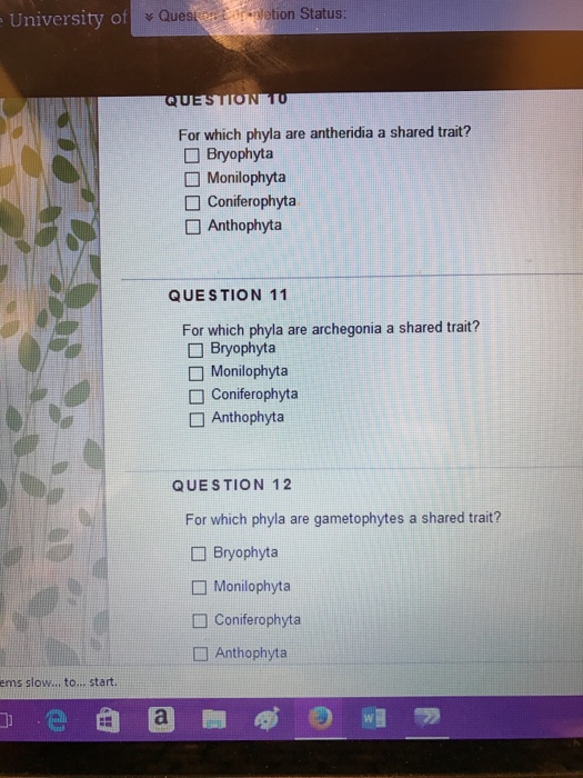 Solved For which phyla are antheridia a shared trait? | Chegg.com