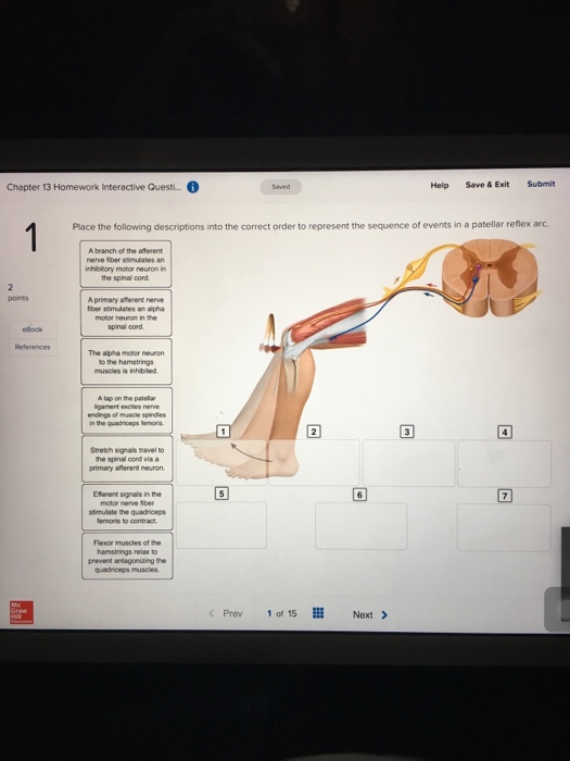 Solved Chapter 13 Homework Interactive Questi- Help Save | Chegg.com