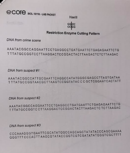 ecore niol 1011k-Las phoker HaellI GGloc CCGG | Chegg.com